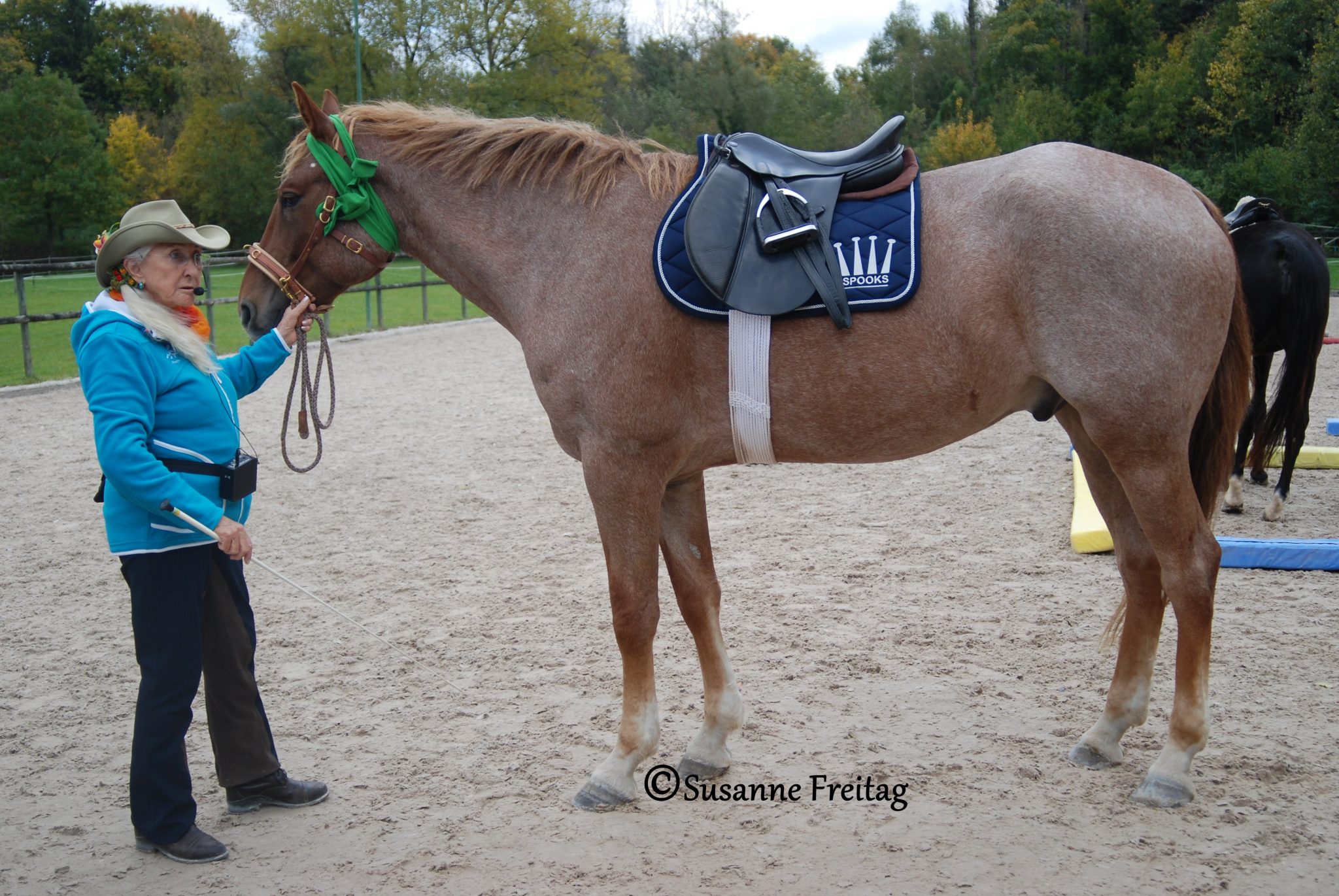 Tellington TTouch ® Methode - koerperarbeit-pferd